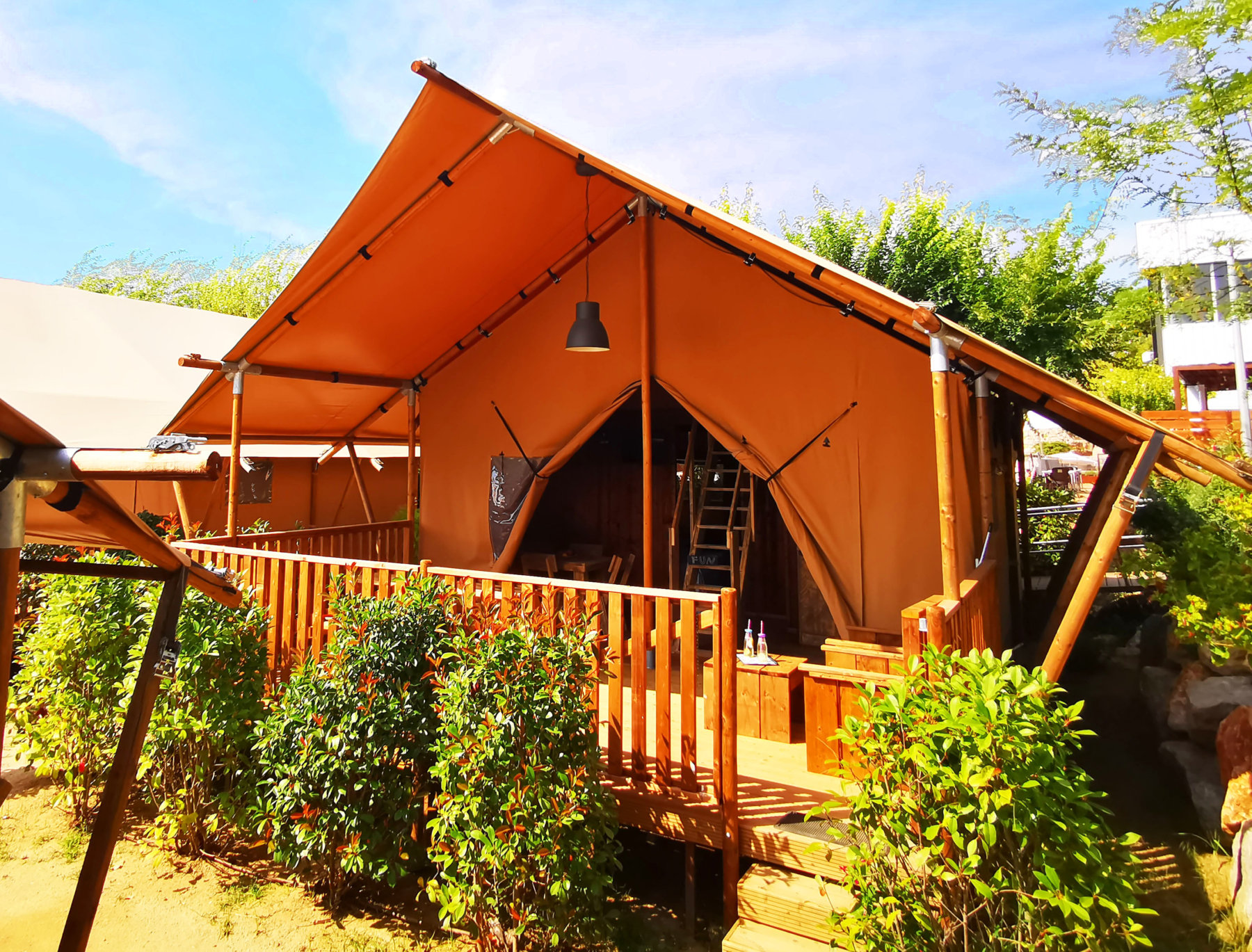 Safari Fun - Camping King's